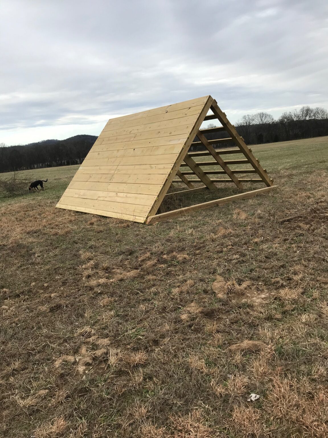 Obstacle Course Design & Construction - Adventure Fitness