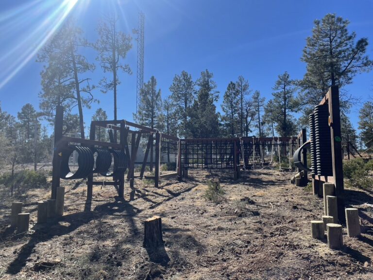 Low Ropes Courses - Adventure Fitness