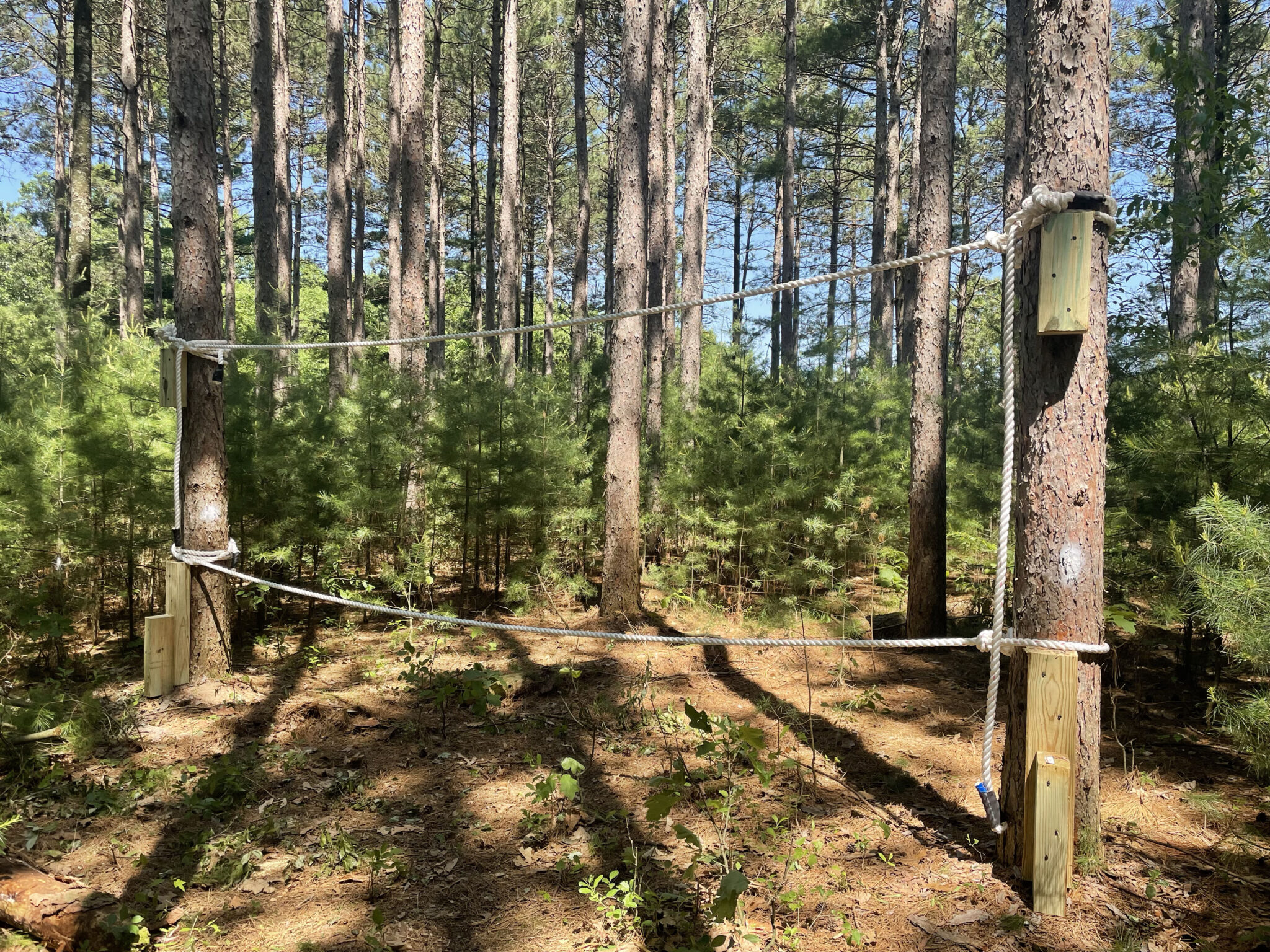 Natural Challenge Courses - Adventure Fitness