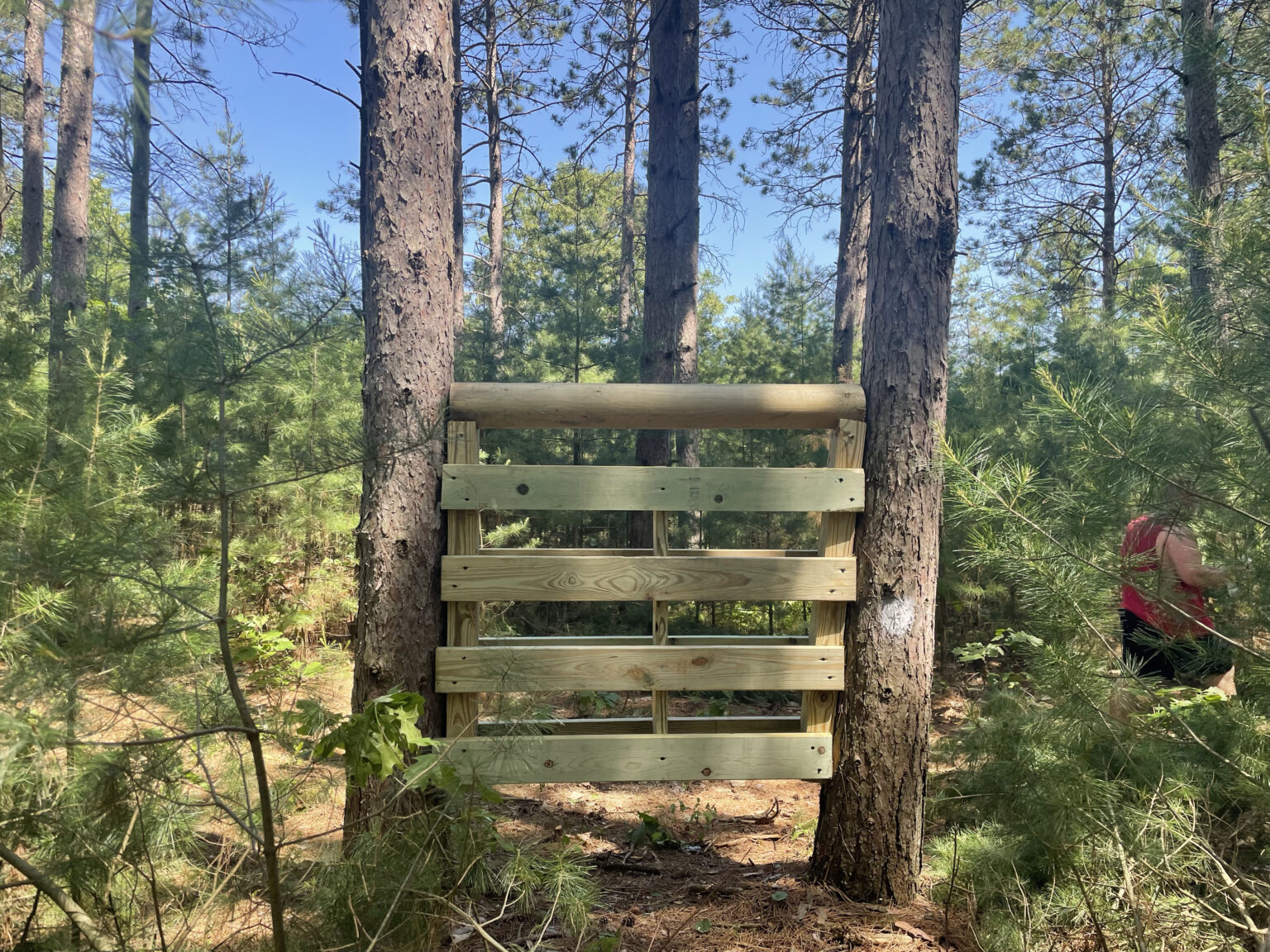 Natural Challenge Courses - Adventure Fitness