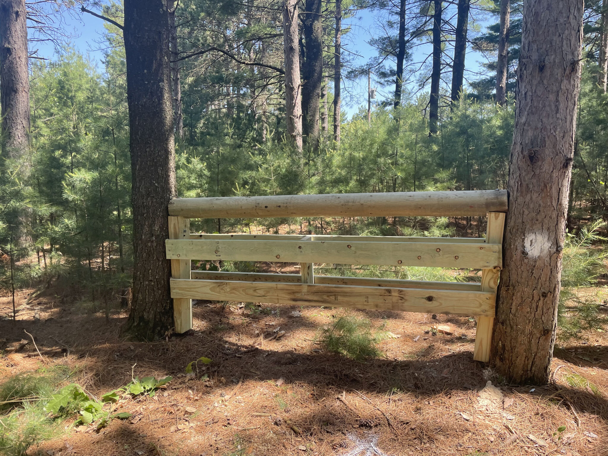 Natural Challenge Courses - Adventure Fitness