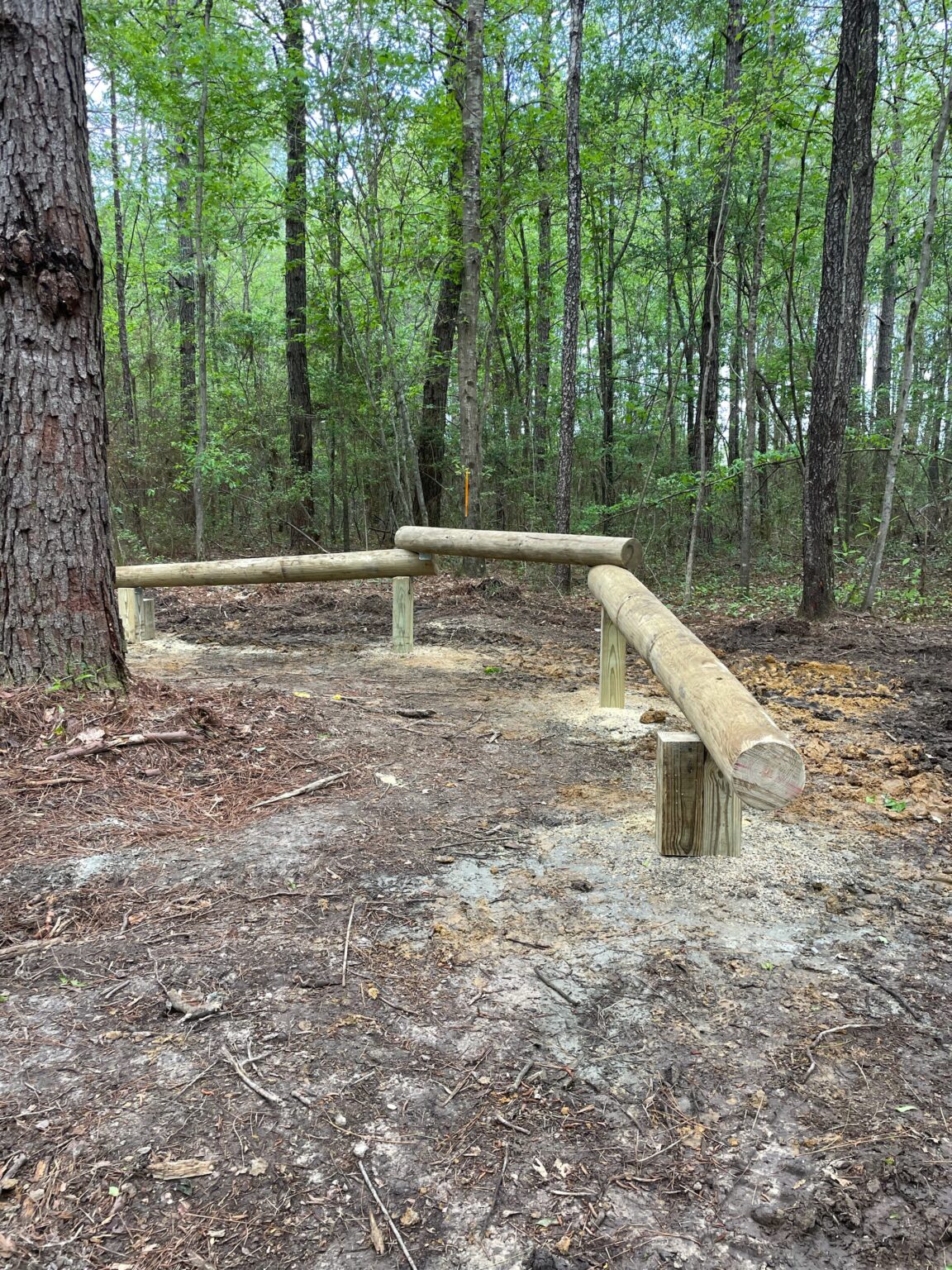 Projects - Adventure Fitness